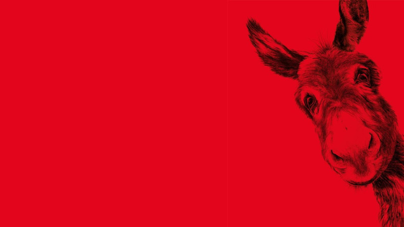 Swanpool Cinema - Evening Screenings