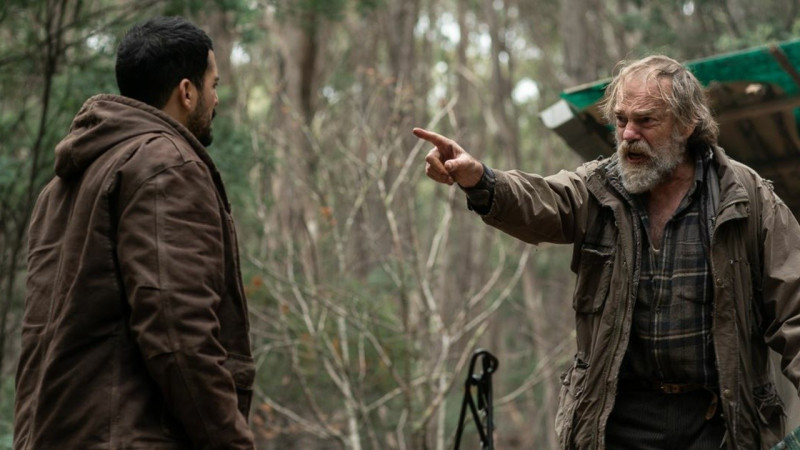 Swanpool Cinema - Screenings